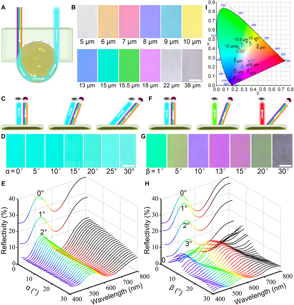 China and US researchers develop new material for color-changing road ...