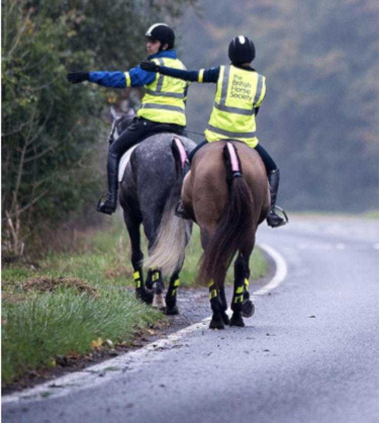 New app launched to improve safety for horse-riders, as accident levels ...
